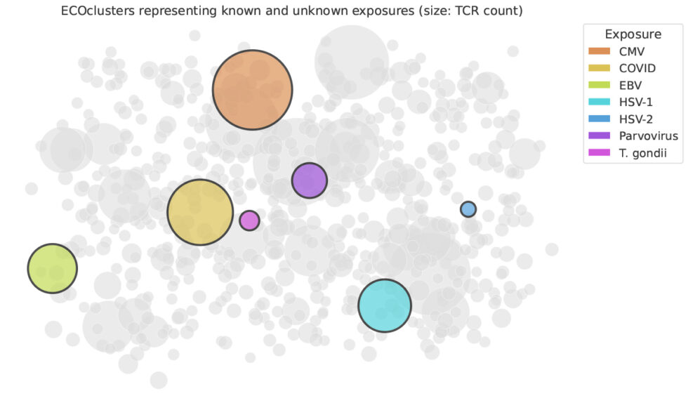 ECOclusters: A T-Cell Biomarker Catalog of Humanity’s Shared Responses ...
